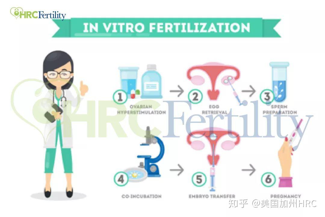 HRC课堂 | 胚胎等级 vs PGS/PGD，哪个才是衡量胚胎移植的最佳标准？ - 知乎