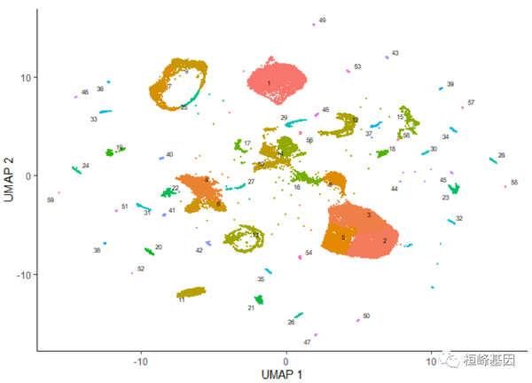 SCS【7】单细胞转录组之轨迹分析 (Monocle 3) 聚类、分类和计数细胞 - 知乎