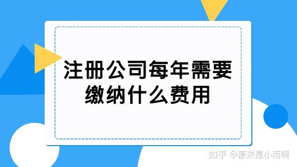 注册公司后每年都要交什么费用 知乎