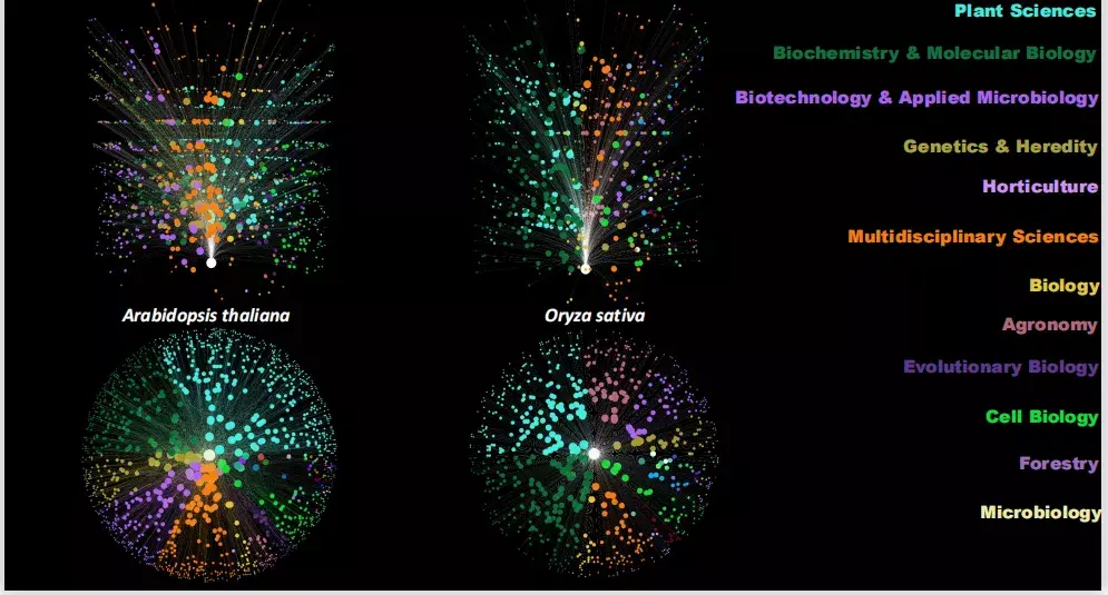 Trends Plant Sci | 植物基因组测序20周年回顾与展望 - 知乎