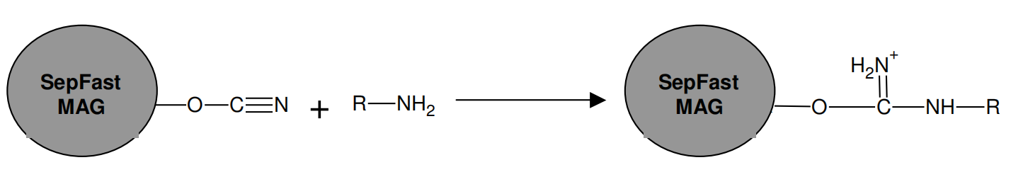 BioToolomics之CNBr活化磁性琼脂糖色谱填料产品特性 - 知乎