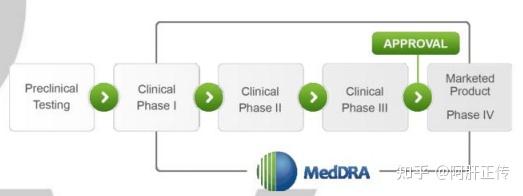 MedDRA：监管活动医学词典 - 知乎