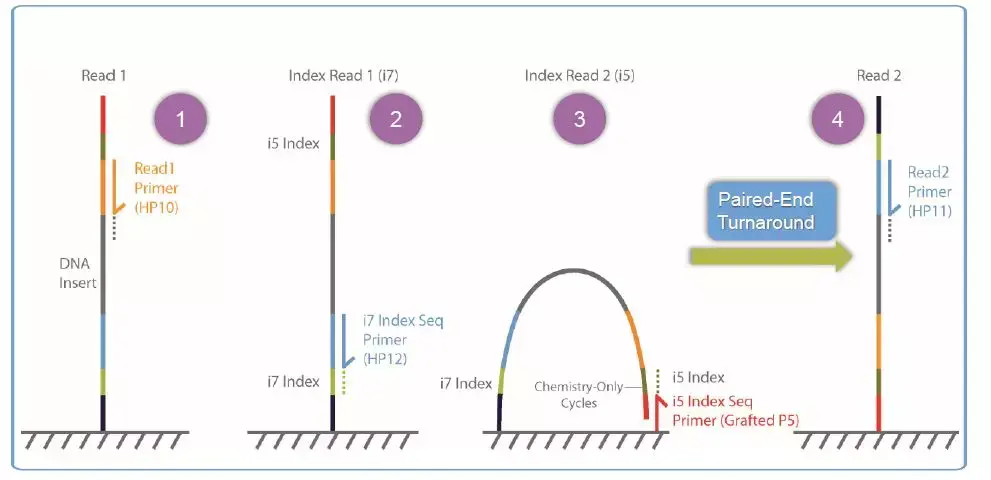 干货 | Index这件小事，你get了吗？ - 知乎