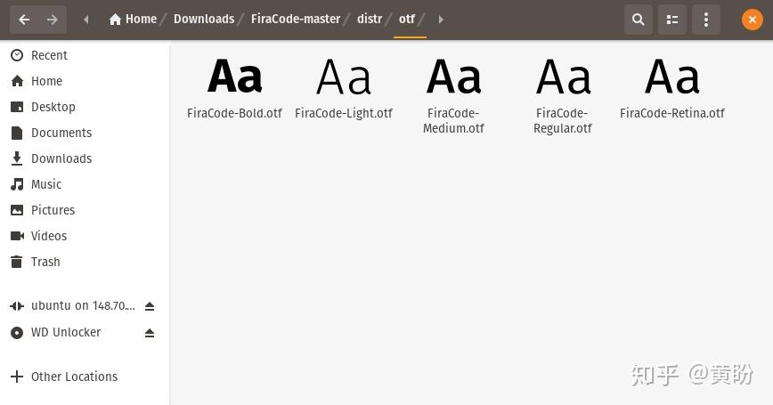 Fira Code —— 专为编程而生的字体 - 知乎