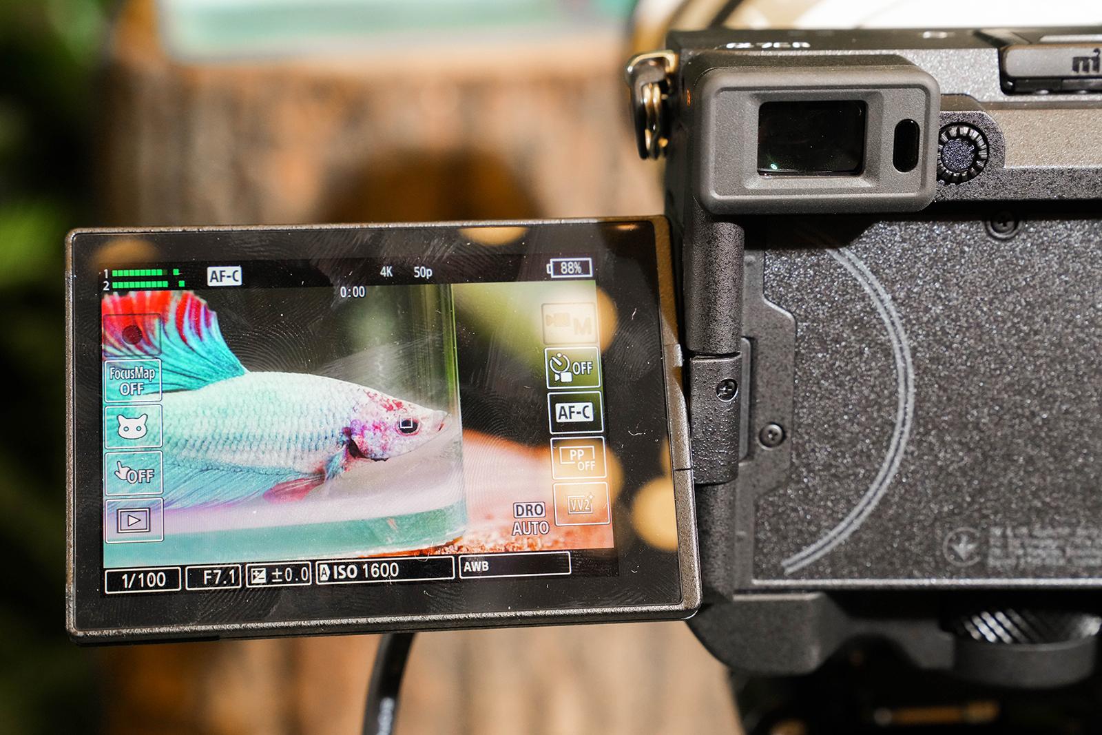 为艺术而生！515克高颜值相机 SONY Alpha 7CR评测 - 知乎