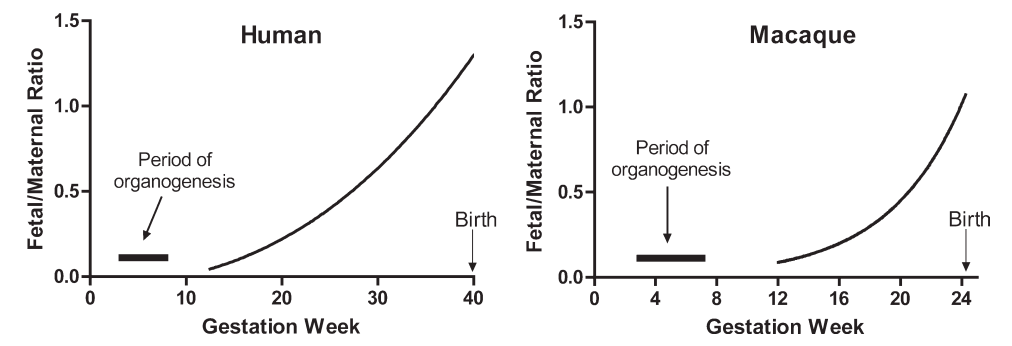 NHP ePPND试验的挑战及应对策略 - 知乎