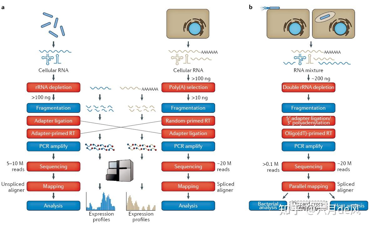 破译宿主和微生物相互作用的跨物种RNA-seq - 知乎