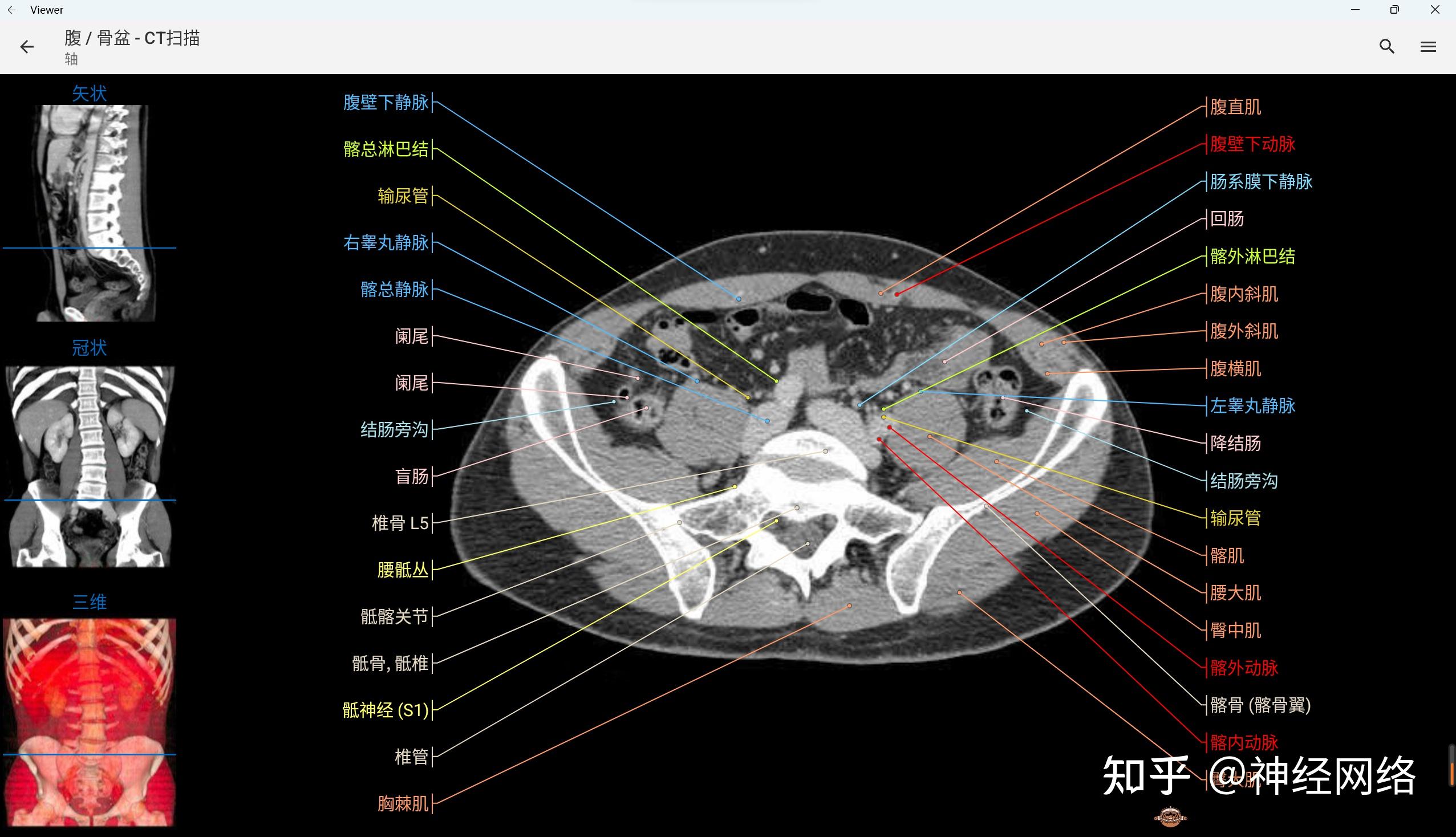 推荐一款超实用的影像软件工具 e-Anatomy（支持安卓、win11及Mac设备） - 知乎