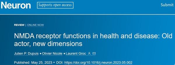 Neuron:神经可塑性和认知相关的突触后NMDAR信号的研究新进展 - 知乎