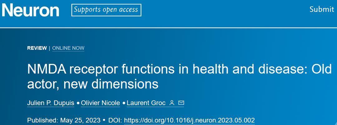 Neuron:神经可塑性和认知相关的突触后NMDAR信号的研究新进展 - 知乎