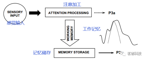 经典再读 | P3a与P3b的整合理论 - 知乎