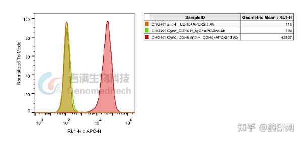 全球仅两款的CDH6 ADC同时在华申报临床 - 知乎