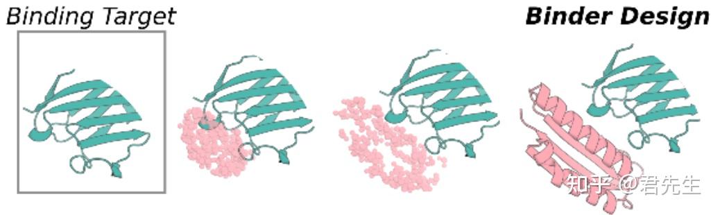 万字长文详细讲解蛋白质设计统一框架RFdiffusion - 知乎
