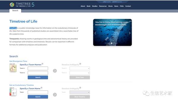 物种分歧时间、分子进化速率计算（TimeTree、PAML mcmctree、codeml 、MEGA 看这一篇文章就够！) - 知乎