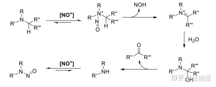 亚硝胺的机制及全新的亚硝胺风险评估体系 - 知乎