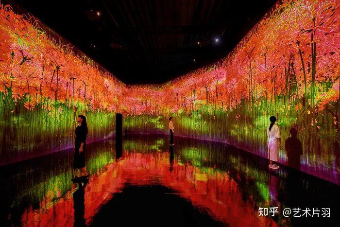 侘寂之前，生命未满——在北京teamLab无相艺术空间看见日本美学的另一面 - 知乎