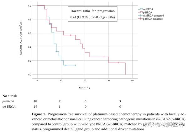 晚期肺癌检出BRCA突变，使用铂类化疗和PARP抑制剂疗效如何？ - 知乎