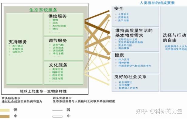 Arcgis空间数据处理、空间分析与制图;plus模型和invest模型的原理,参量提取与模型运行及结果分析;土地利用时空变化以及对生态系统