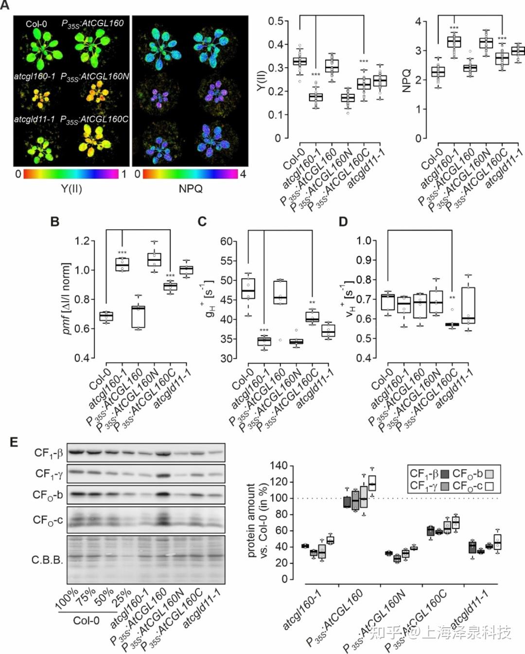 PAM叶绿素荧光仪最新应用文献速览 - 知乎