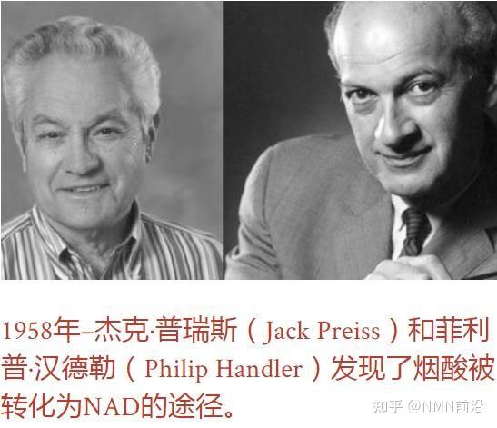 NMN发展史的12个里程碑 - 知乎