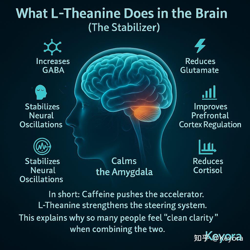 Episode 8 - L-Theanine + Caffeine: Why This Combination Works, and When ...
