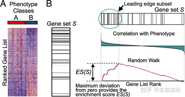 GSEA第2弹！如何解读GSEA富集结果 - 知乎