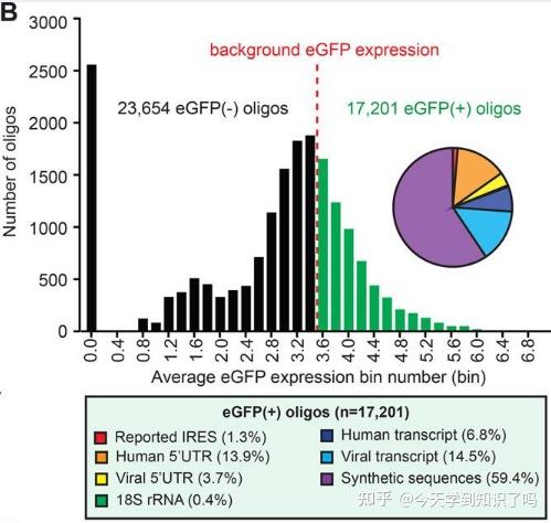 结构元件驱动普遍的环状RNA翻译 - 知乎