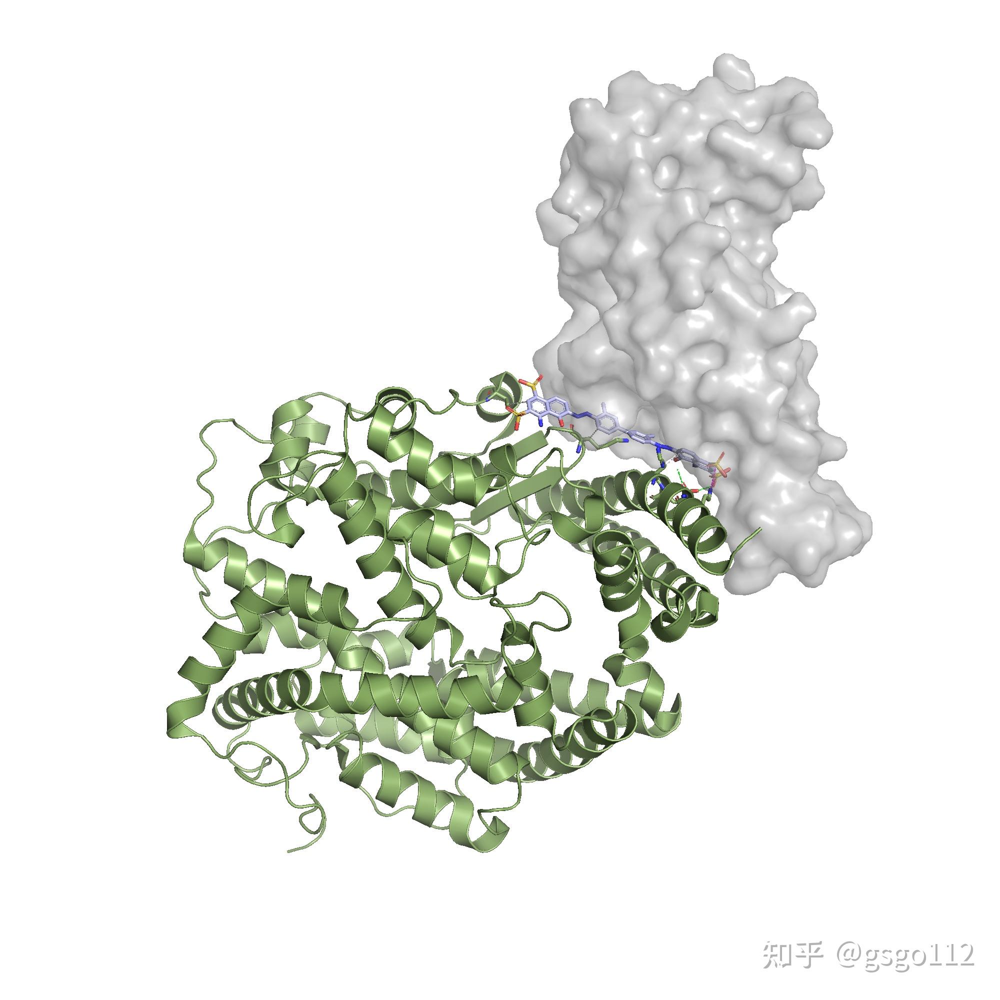 Pymol处理对接结果作图 - 知乎