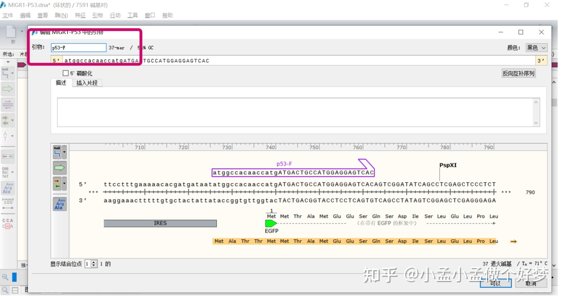 同源重组法构建质粒图谱 - 知乎