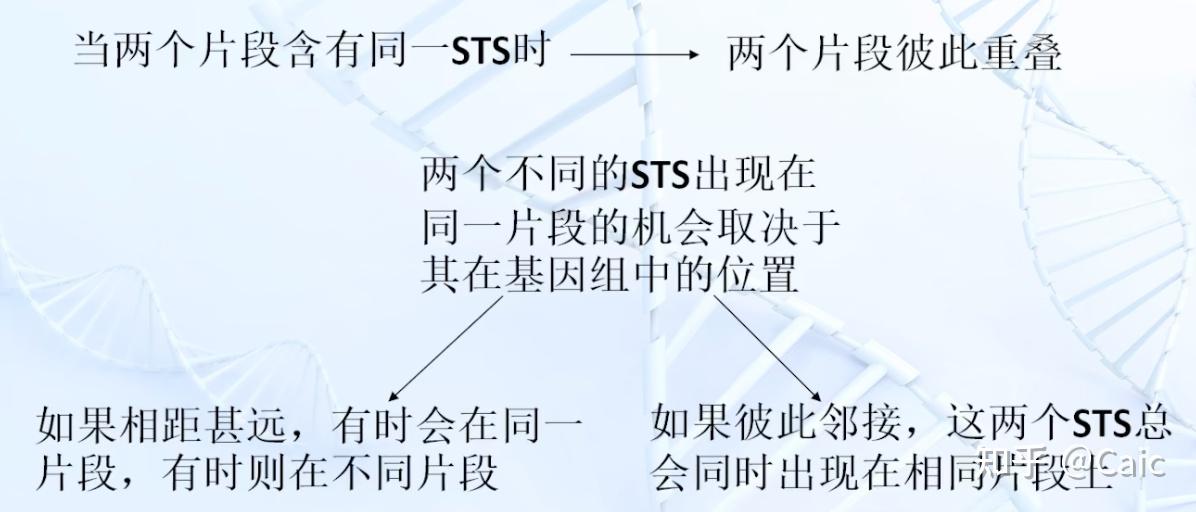 遗传学_13 基因组学 - 知乎