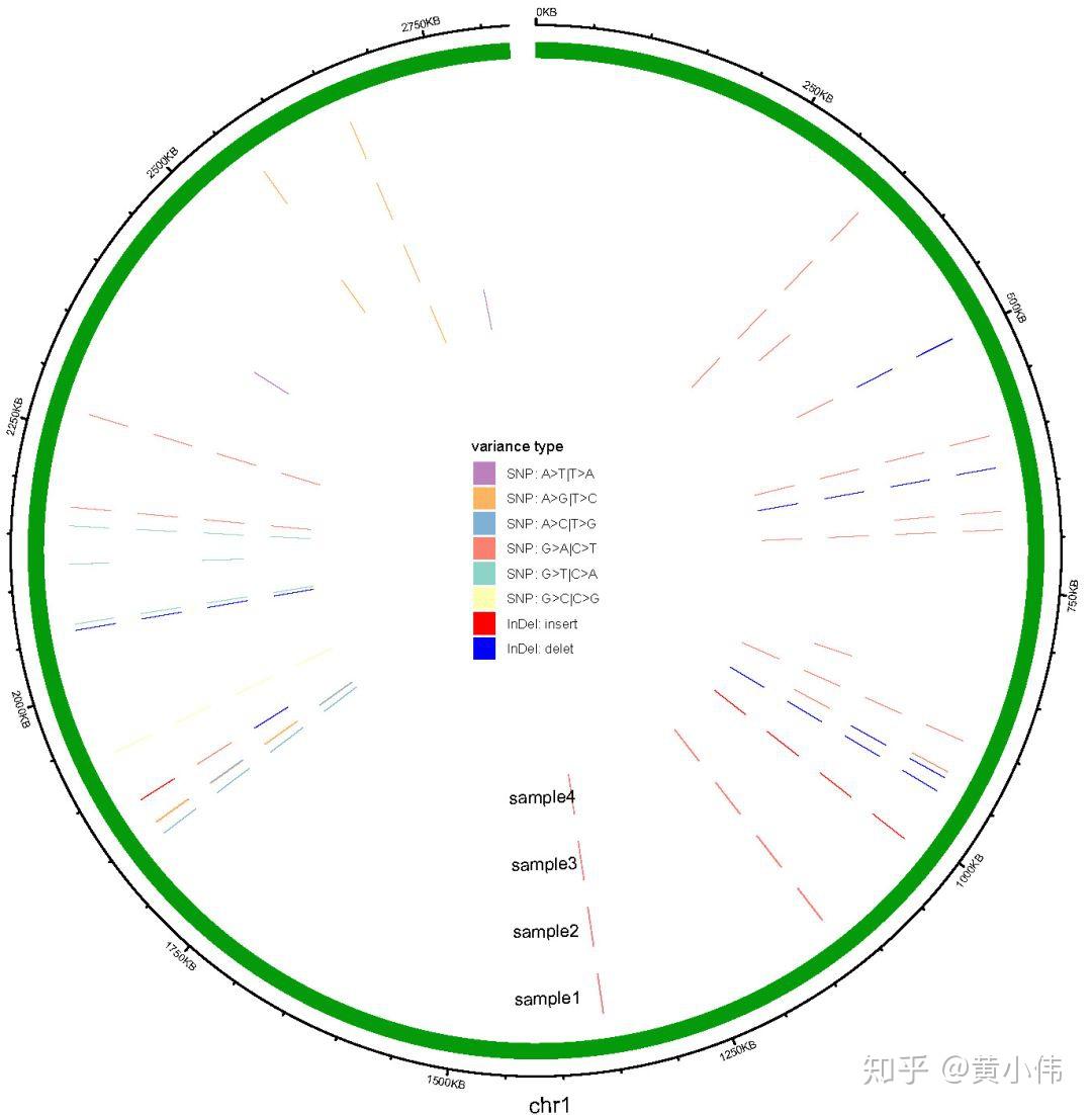 R包circlize绘制特定SNP、InDel位点标识的基因组圈图 - 知乎