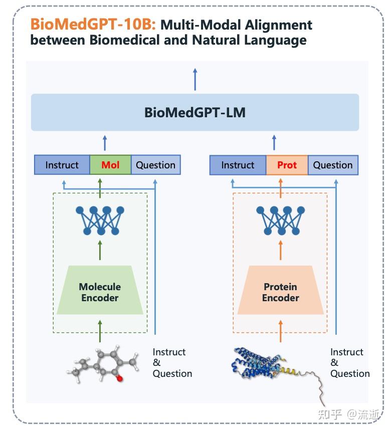 领域大模型：生物医药领域BIOMEDGPT - 知乎
