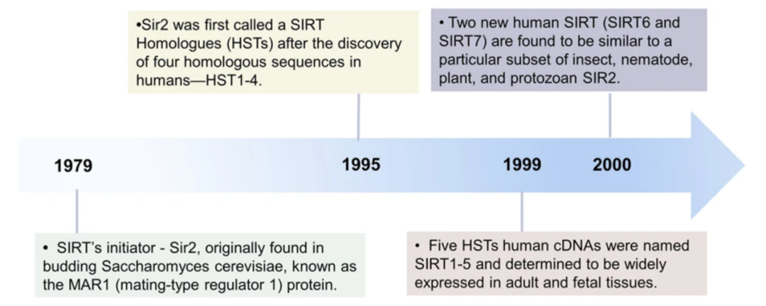 “酰”睹为快！STTT | 中国医科大学赵玉虹/刘彩刚发表SIRT蛋白家族与人类健康和疾病的综述 - 知乎