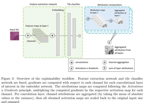 【2023年2月6日】论文分享 - 知乎
