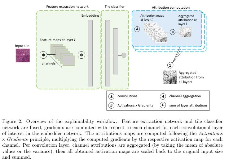 【2023年2月6日】论文分享 - 知乎
