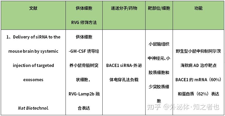 干货分享|脑神经靶向RVG修饰工程化外泌体应用 - 知乎