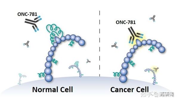 “别吃我”靶点：CD24单抗首次在华申报临床 - 知乎