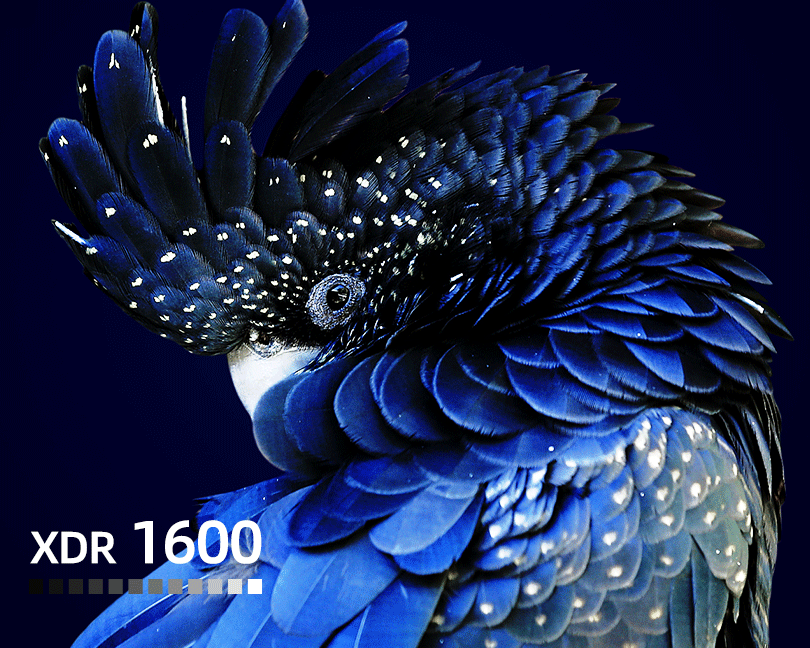 TCL X11和海信E8H哪个好？有什么区别？详细配置参数对比 - 知乎