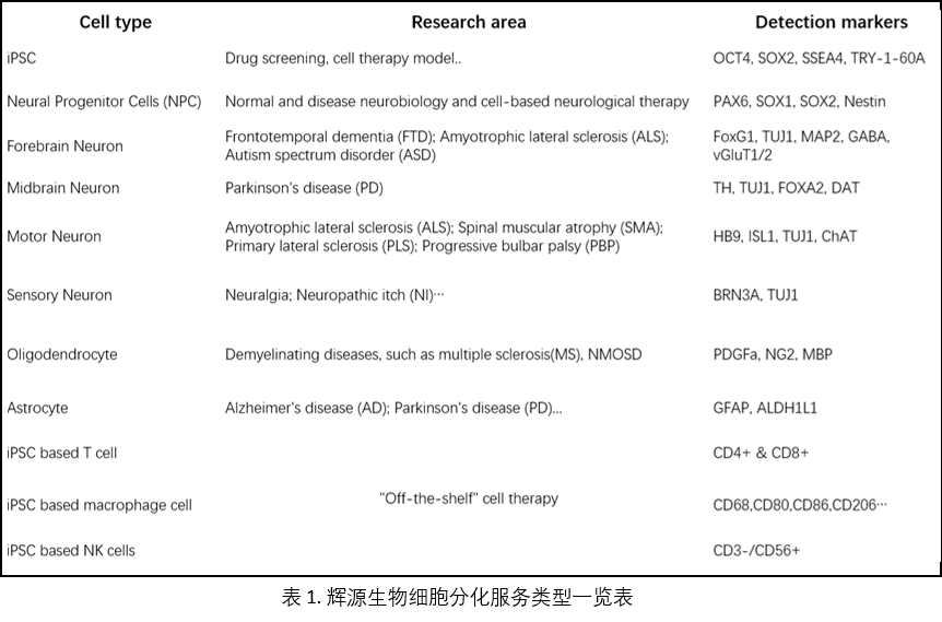 iPSC基因编辑与细胞类型分化服务平台 - 知乎