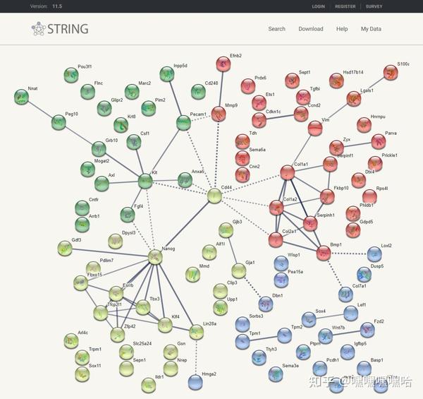 RNA-seq入门实战（九）：PPI蛋白互作网络构建（上）——STRING数据库的使用 - 知乎