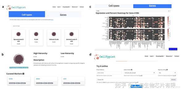 单细胞测序实用工具：细胞类型注释，这一篇就够了 - 知乎