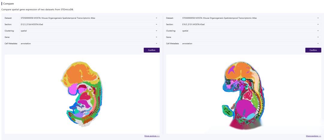 STOmicsDB：简单便捷的空间转录组网页工具！ - 知乎
