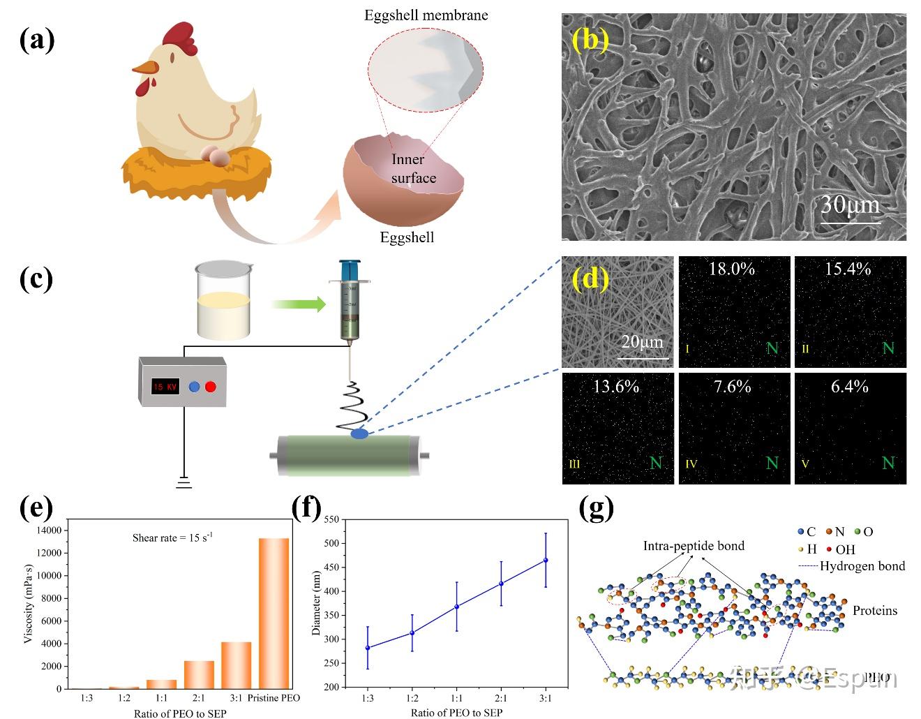 江南大学蒋高明教授团队/英国巴斯大学物理系Kamal Asadi教授团队：静电纺丝制备蛋壳膜蛋白基生物纳米纤维膜，实现多功能压电传感 - 知乎