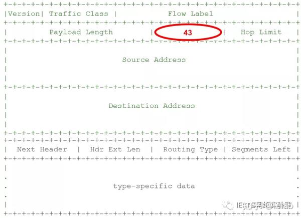 Segment Routing技术浅淡SRv6中IPv6 Header处理过程 - 知乎