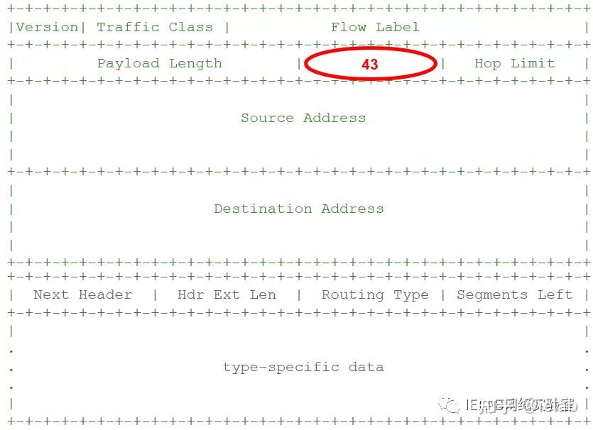 Segment Routing技术浅淡SRv6中IPv6 Header处理过程 - 知乎
