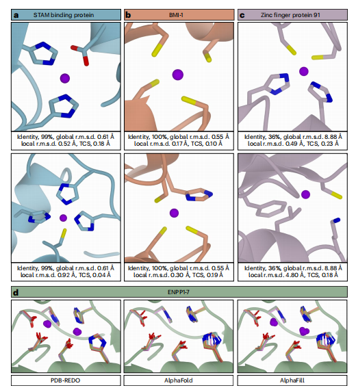 Nat Methods | AlphaFill：配体和辅助因子加强AlphaFold模型 - 知乎