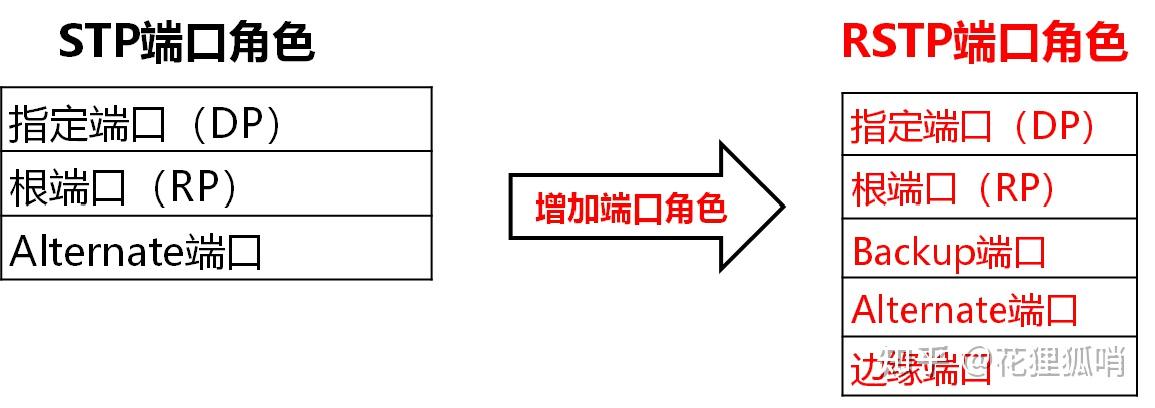 RSTP与STP不同 - 知乎