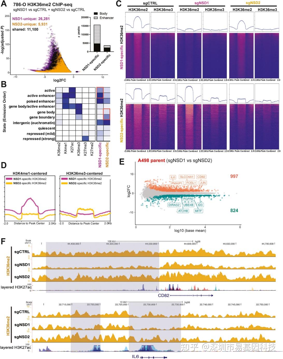 易基因：ChIP-seq等技术揭示SETD2突变在癌症中的H3K36甲基化新型表观遗传治疗靶点｜Genome Biol - 深圳市易基因科技 ...