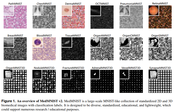 MedMnist v2 - 知乎