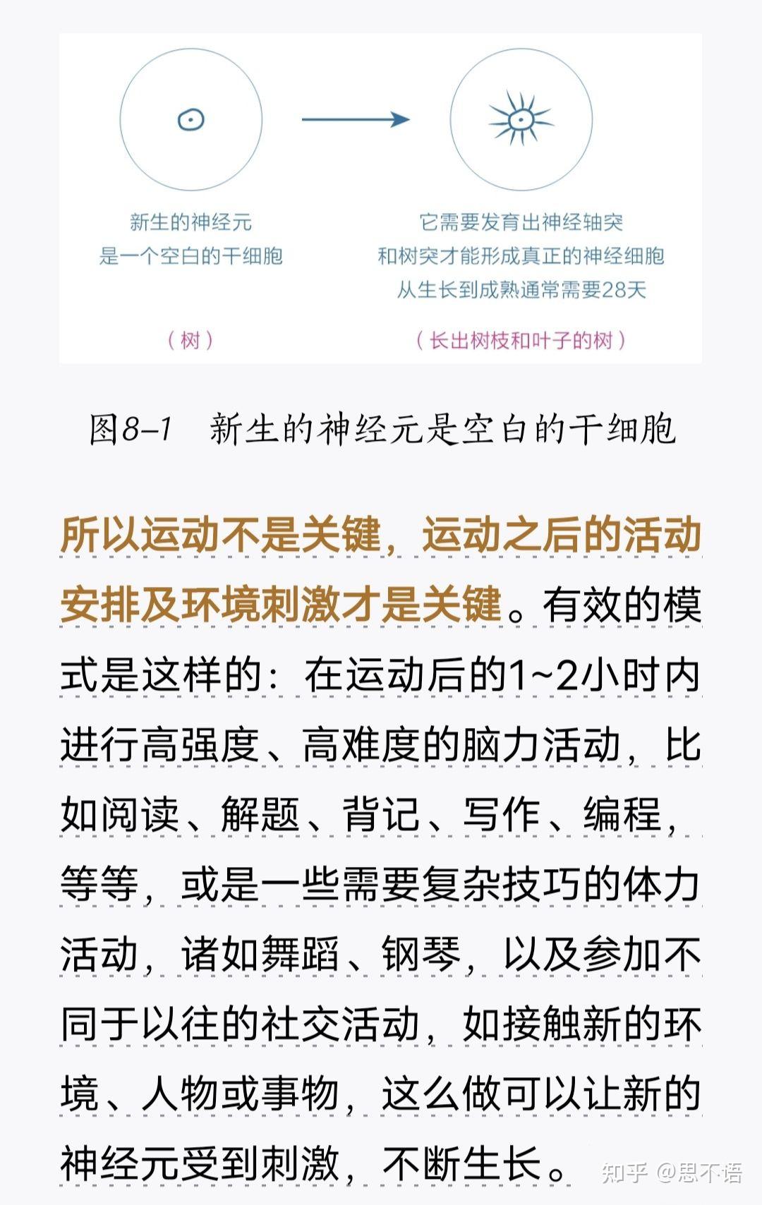 运动与聪明的关联 知乎